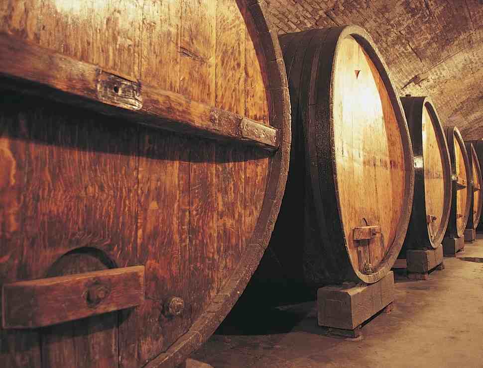 Descubriendo los secretos de las bodegas del Bierzo
